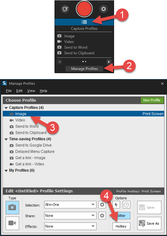 Capture Directly To Image Using Print Screen in Snagit – TechSmith Support